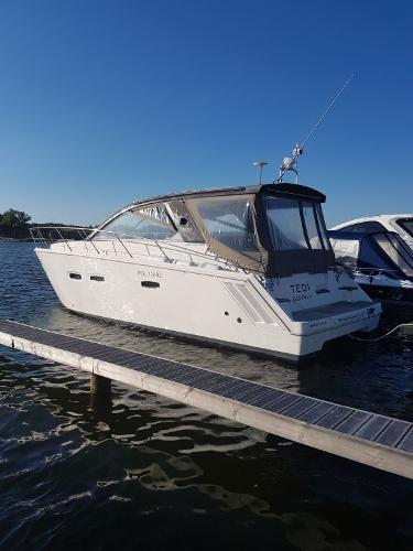 Sealine Sc35 boats for sale - boats.com