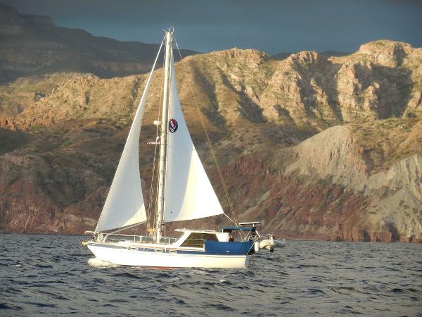 Sailboats for sale mexico store