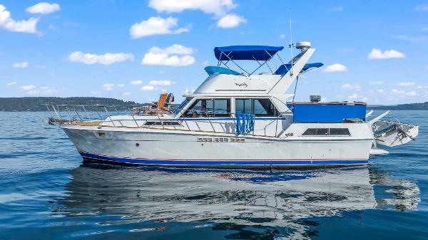 Cabin cruiser boats for sale store